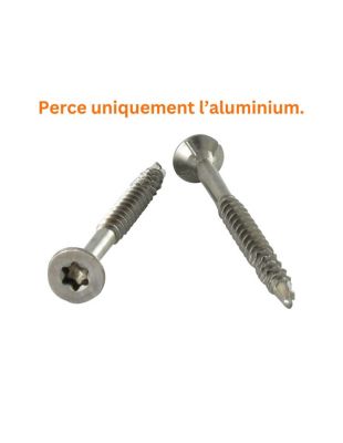 VBA Vis bois agglo Vis autoperceuse Tête fraisée Cranté 5X60 TORX T25 ...