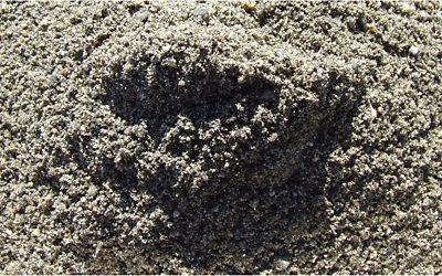 Vrac de Sable à bâtir pour travaux de maçonnerie +/-1m3 | Castorama