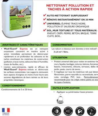 WashGuard Express Nettoyant extérieur désincrustant version ultra ...
