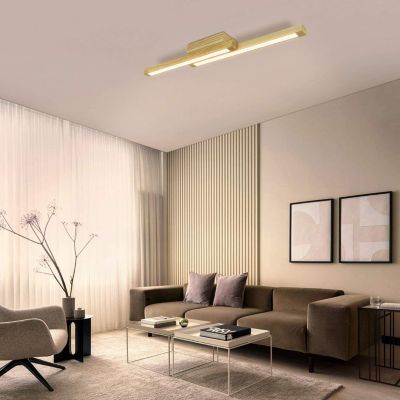 ZMH Plafonnier LED 3000k Lumière De Salon 114cm De Long 2 Flammes