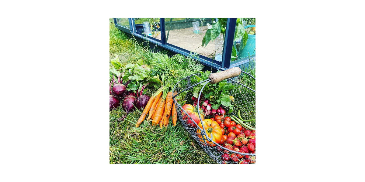 Serre et potager | Entretien du jardin | Castorama.fr